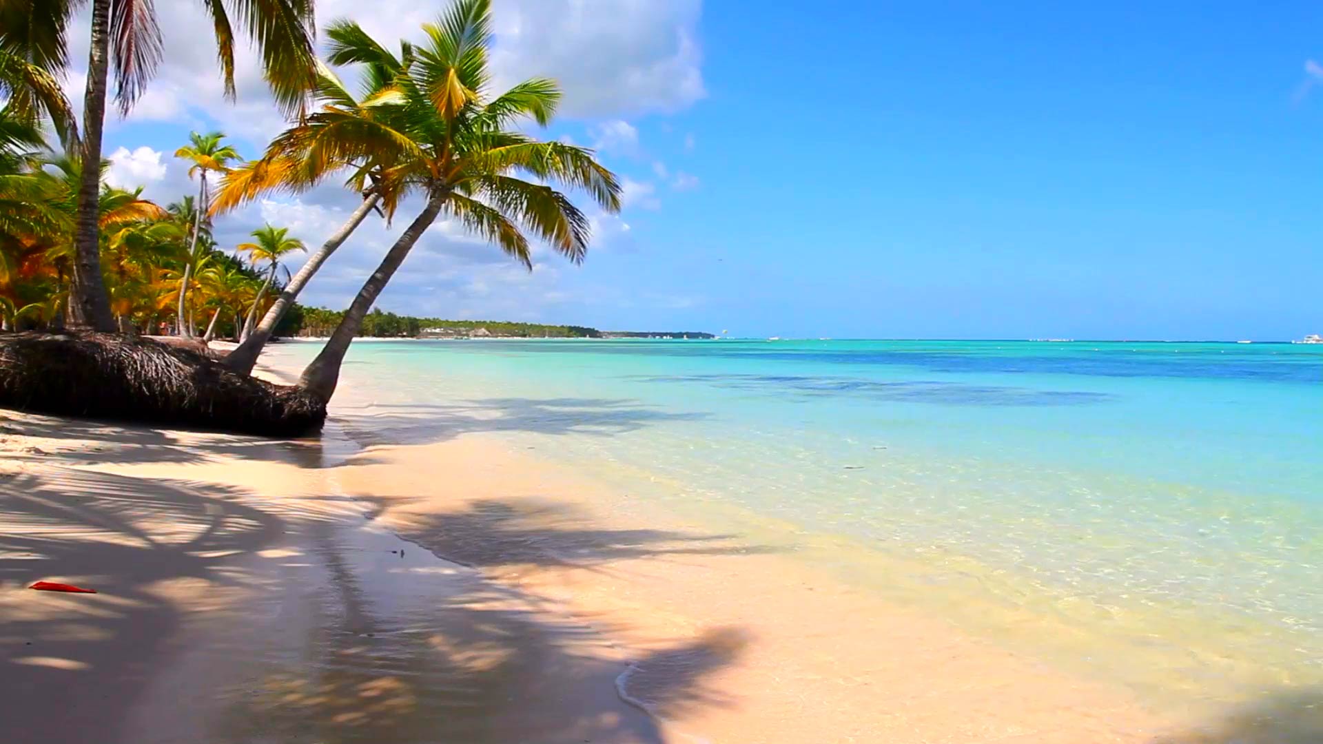 Jimmy Buffett Wallpapers - Top Free Jimmy Buffett Backgrounds ...
