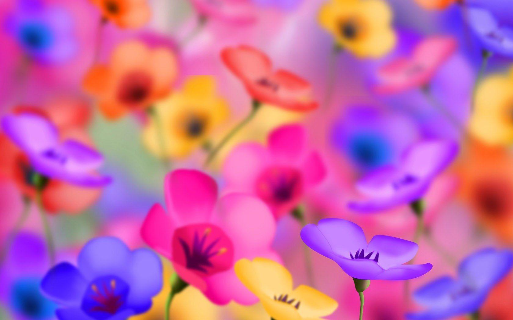 Beautiful Flower Desktop Wallpapers - Top Free Beautiful Flower Desktop ...