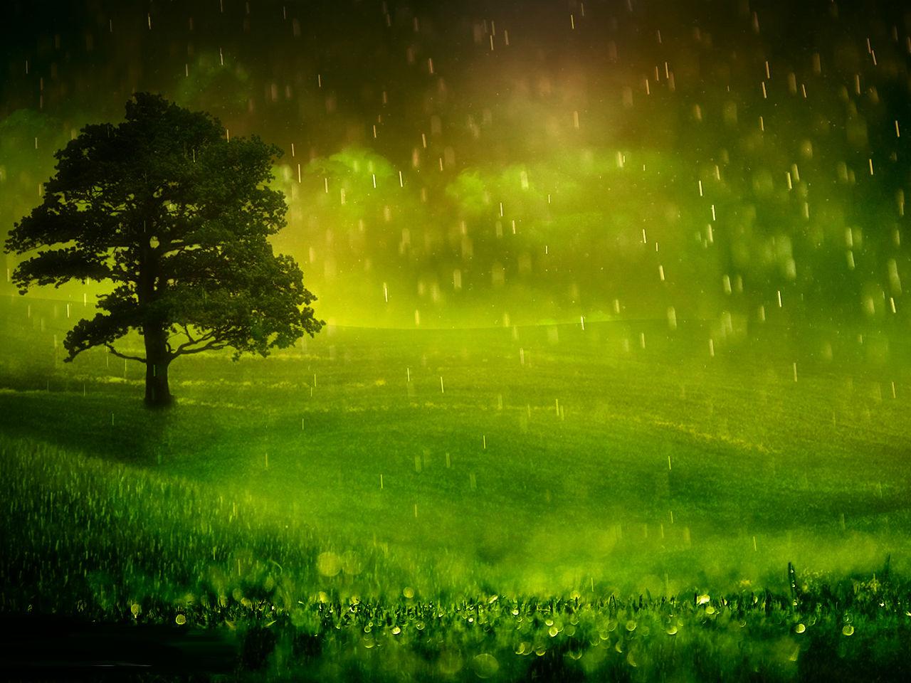 Rainy Spring Desktop Wallpapers - Top Free Rainy Spring Desktop ...