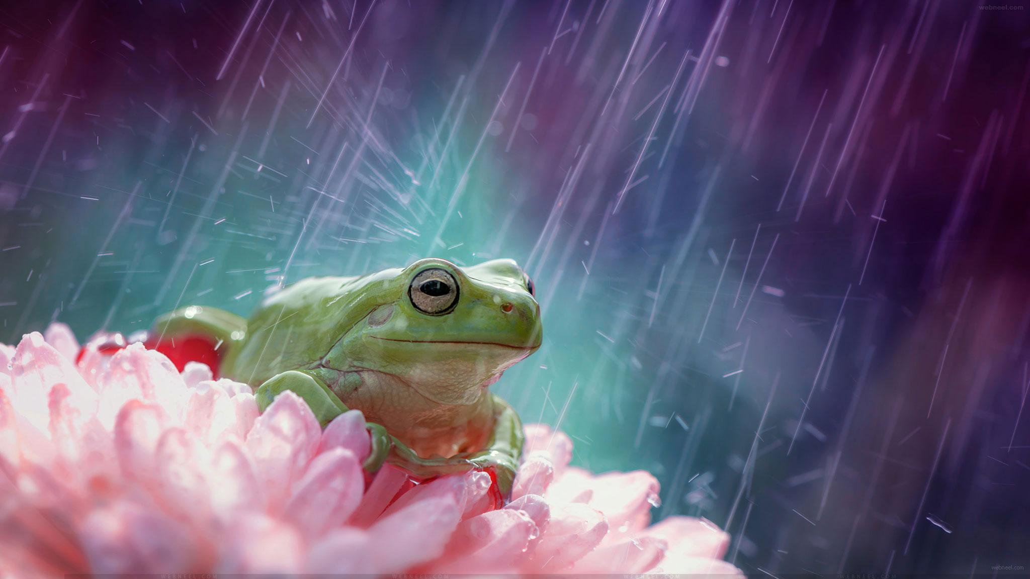 Rain PC Wallpapers - Top Free Rain PC Backgrounds - WallpaperAccess