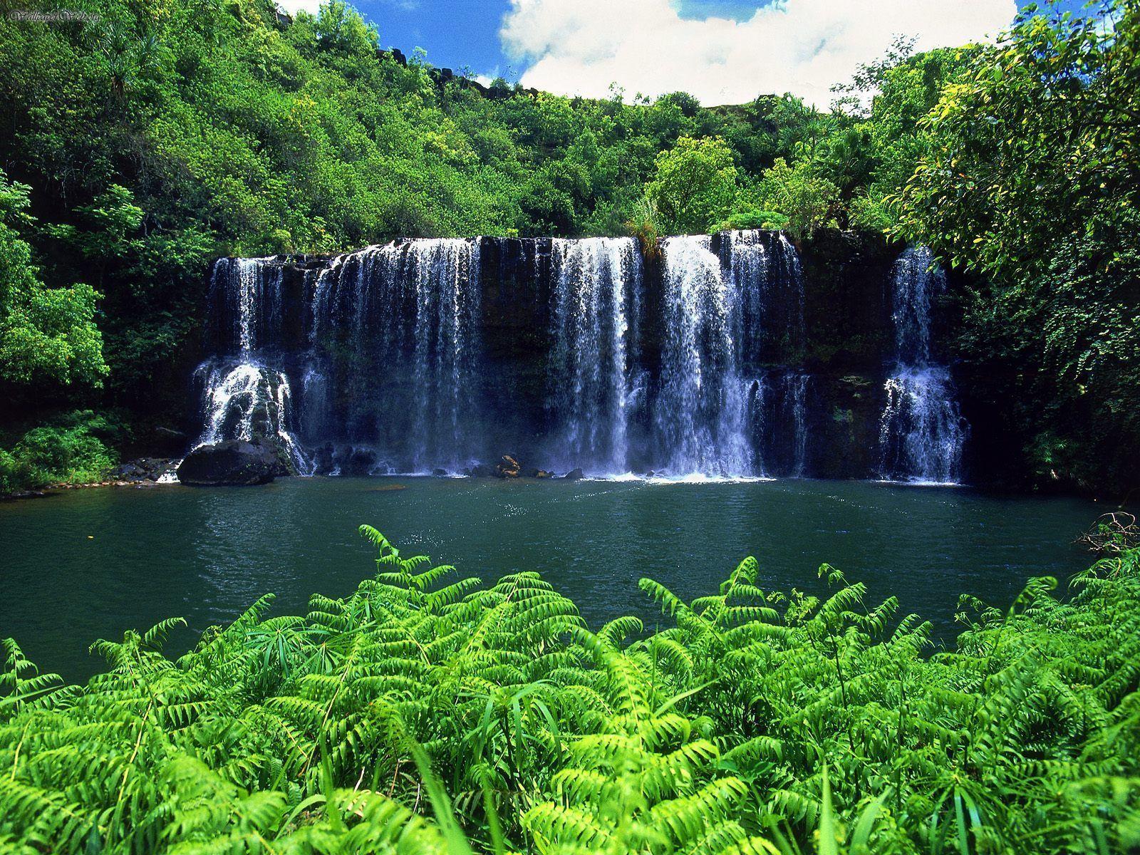 Island Waterfall Wallpapers - Top Free Island Waterfall Backgrounds ...