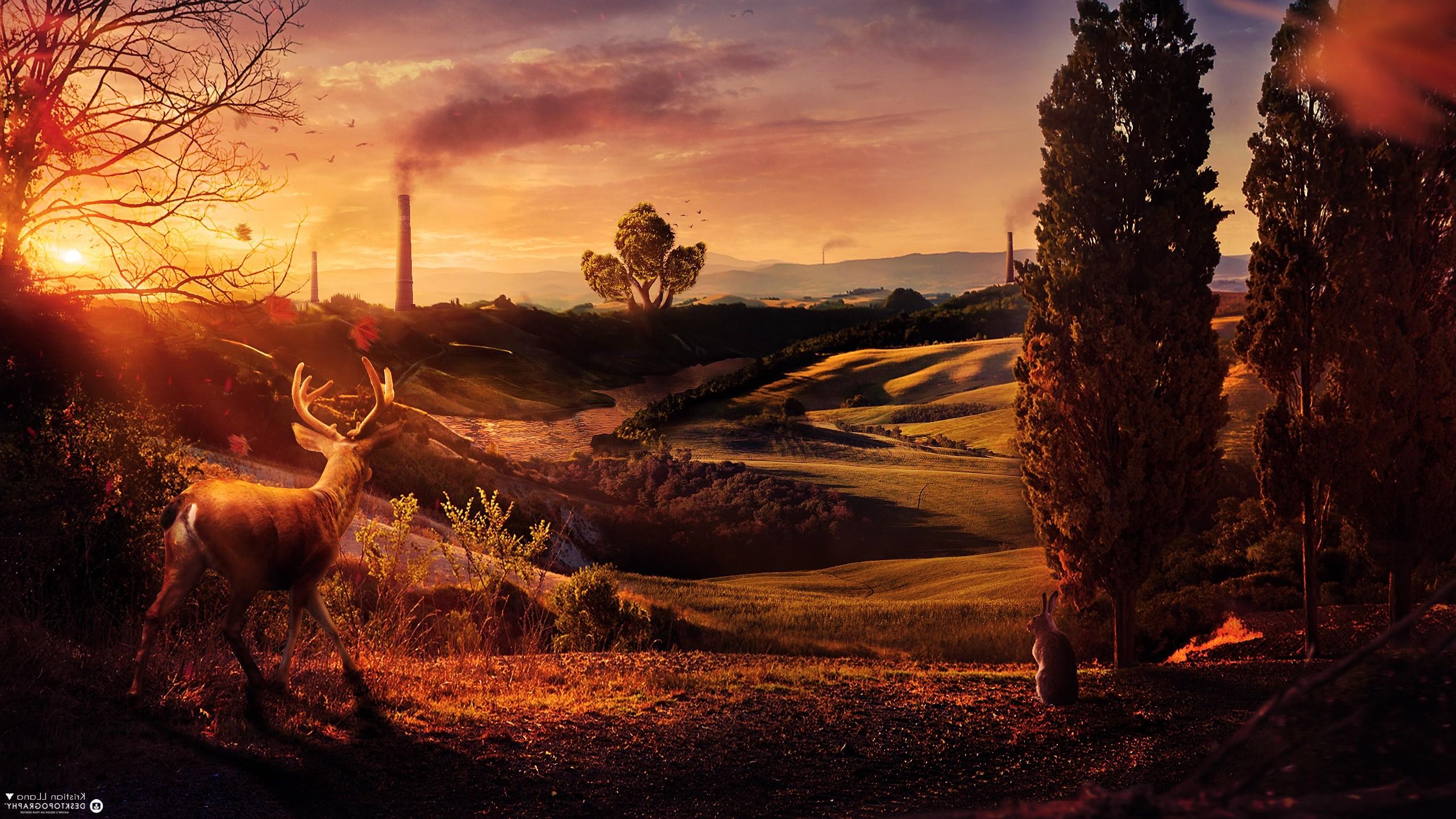 Deer Landscape Wallpapers - Top Free Deer Landscape Backgrounds ...