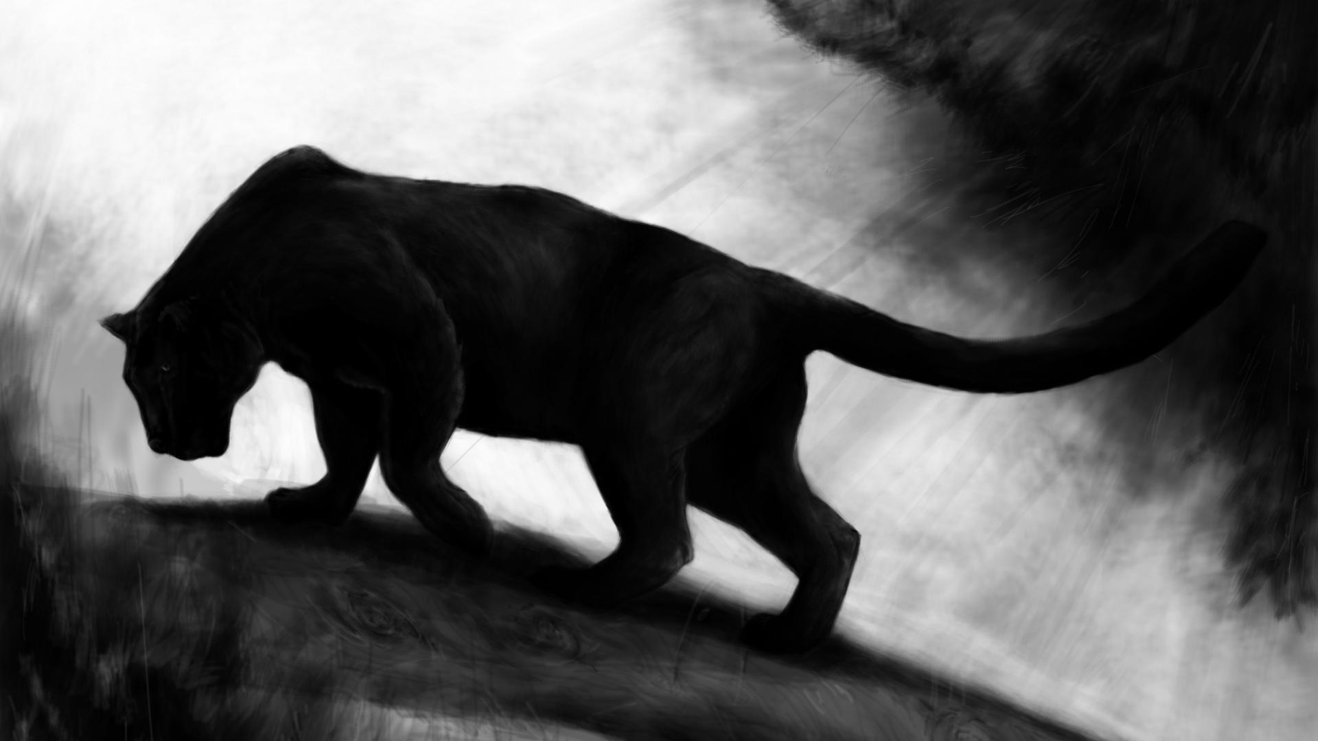 Black Panther Animal 4K Wallpapers - Top Free Black Panther Animal 4K ...