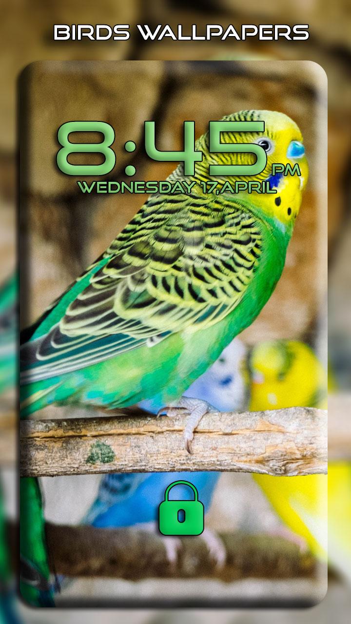 Cool Bird Wallpapers - Top Free Cool Bird Backgrounds - WallpaperAccess