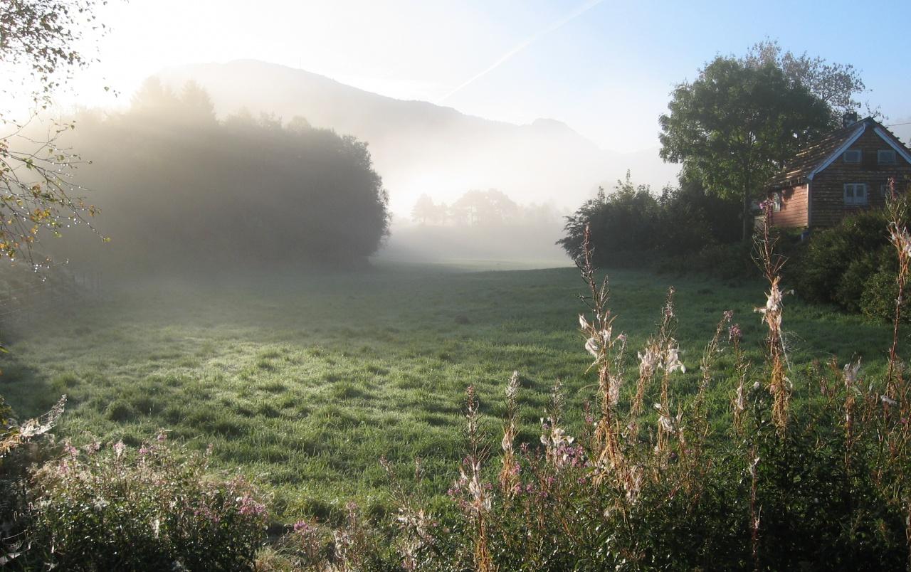 Morning Fog Wallpapers - Top Free Morning Fog Backgrounds - WallpaperAccess