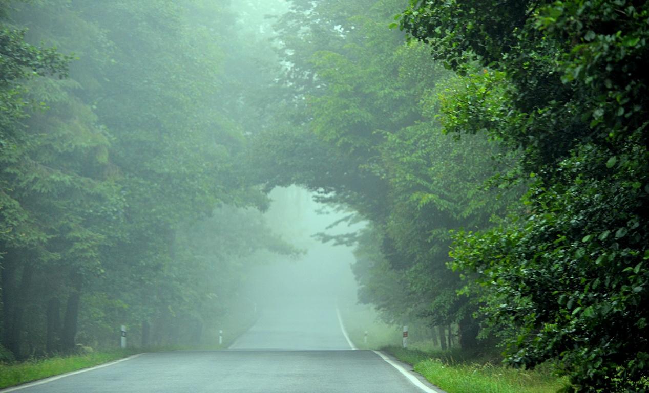 Morning Fog Wallpapers - Top Free Morning Fog Backgrounds - WallpaperAccess