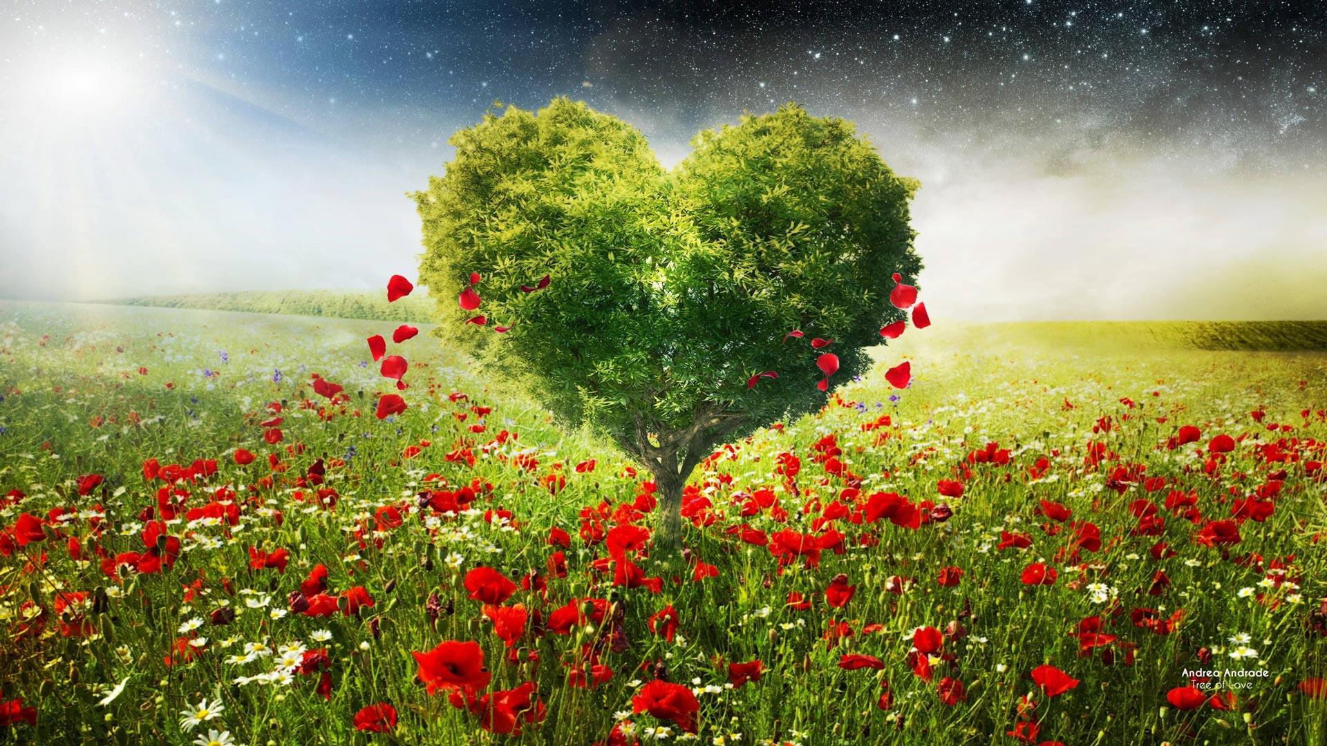 Romantic Computer Wallpapers - Top Free Romantic Computer Backgrounds ...