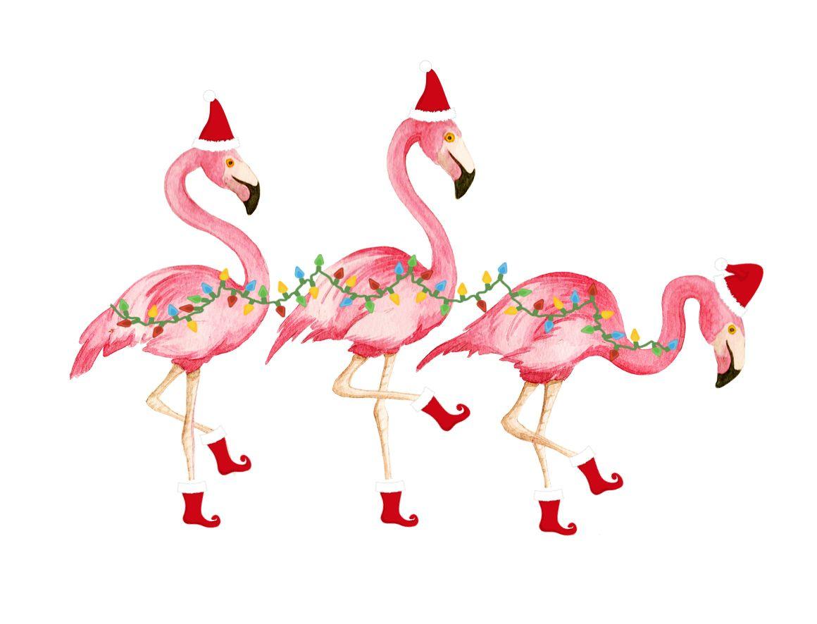 Christmas Flamingo Wallpapers - Top Free Christmas Flamingo Backgrounds ...