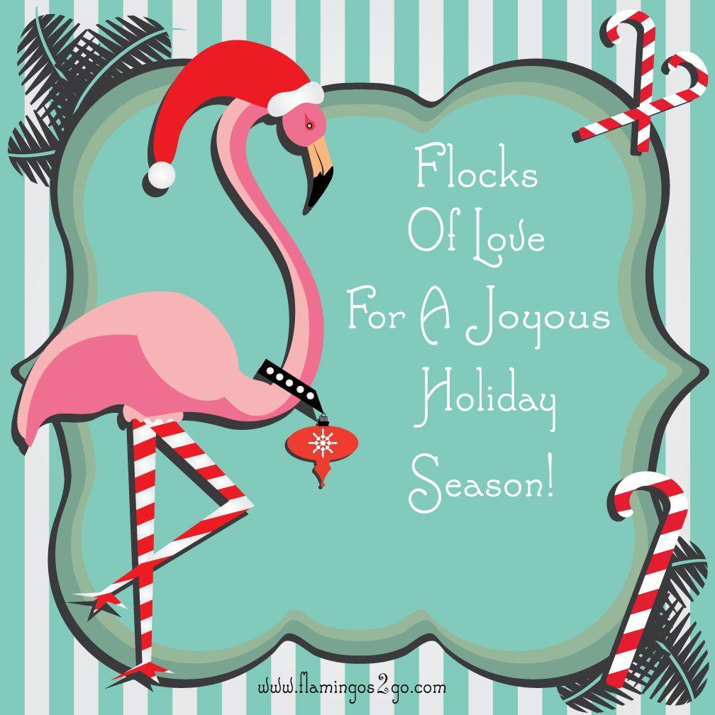 Christmas Flamingo Wallpapers - Top Free Christmas Flamingo Backgrounds ...