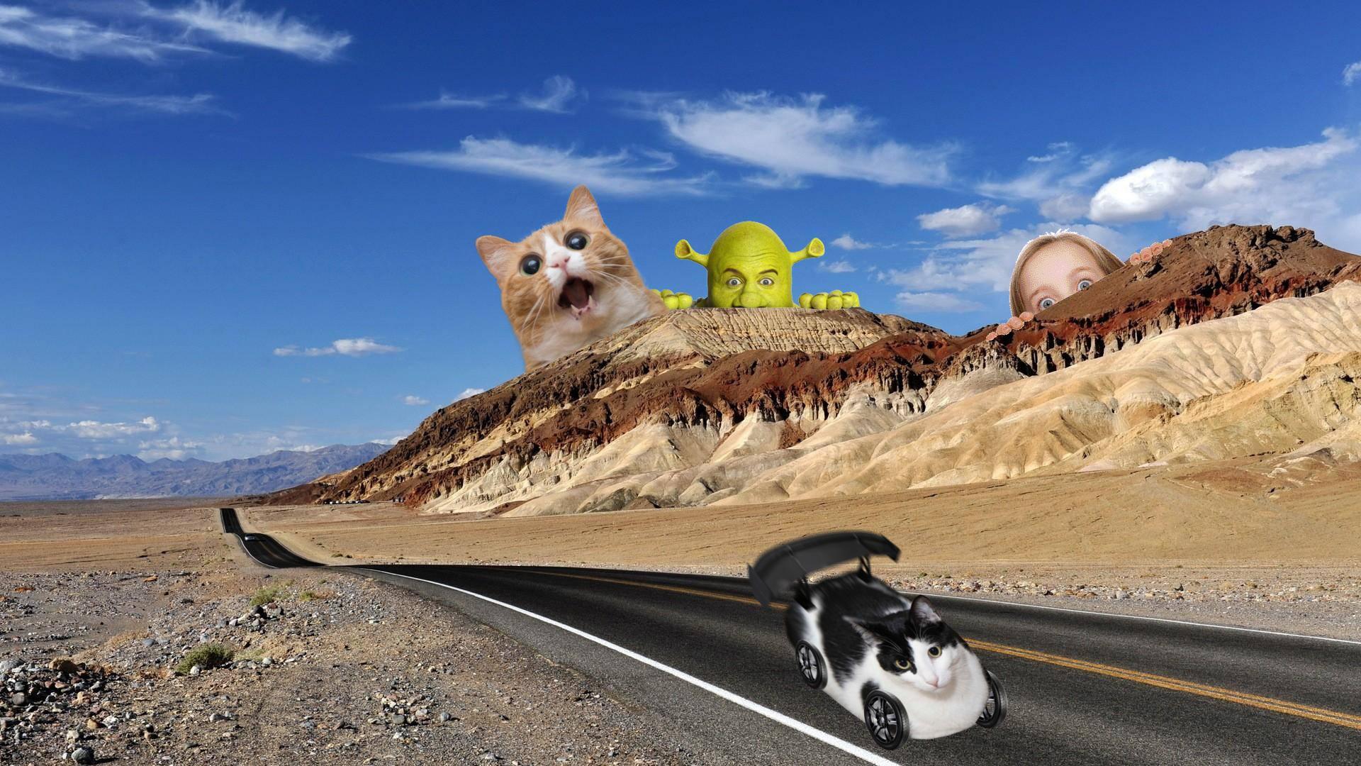 Terrible Wallpapers - Top Free Terrible Backgrounds - WallpaperAccess