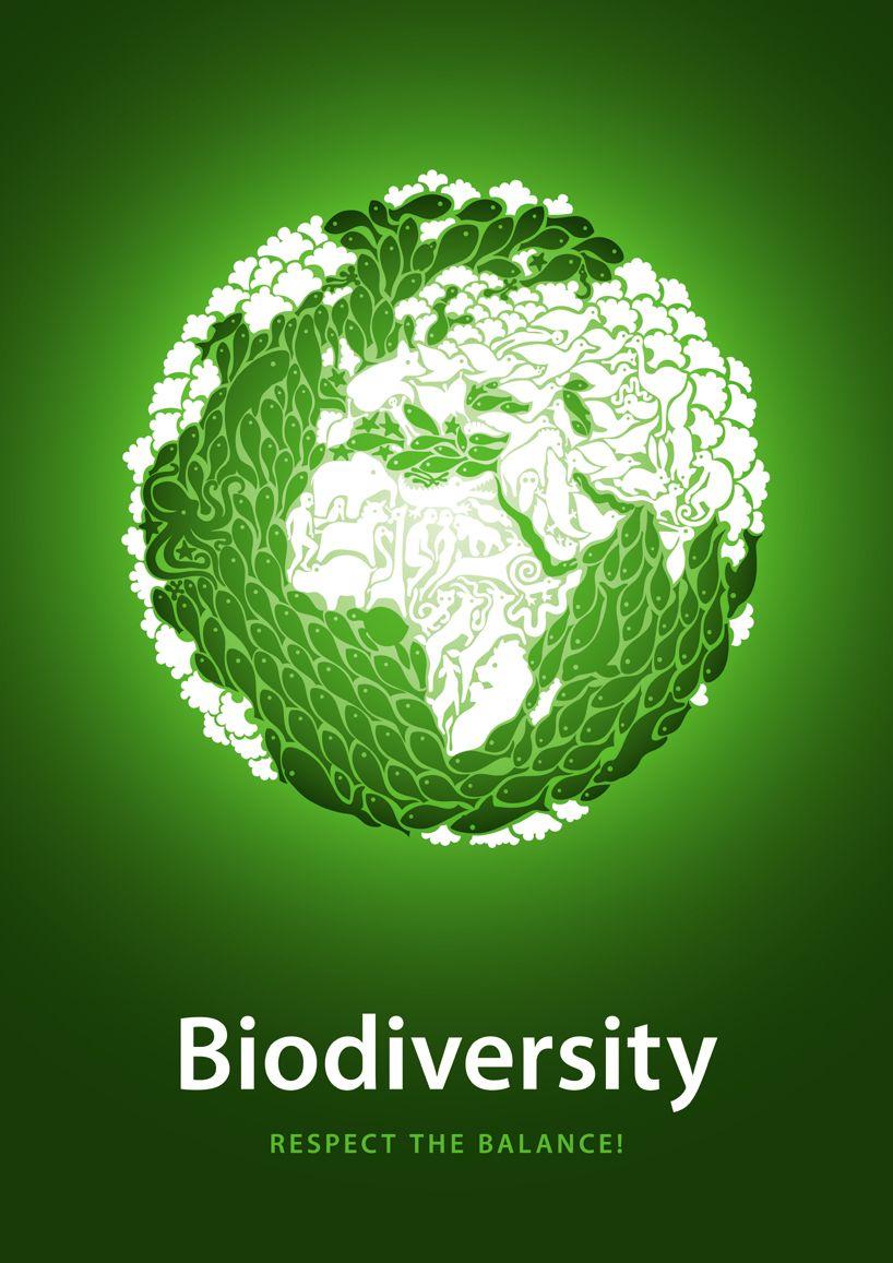 Biodiversity Wallpapers - Top Free Biodiversity Backgrounds ...