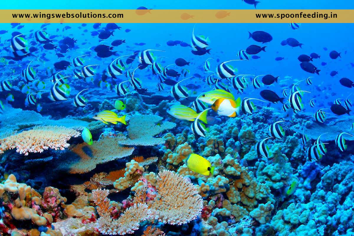 Biodiversity Wallpapers - Top Free Biodiversity Backgrounds ...