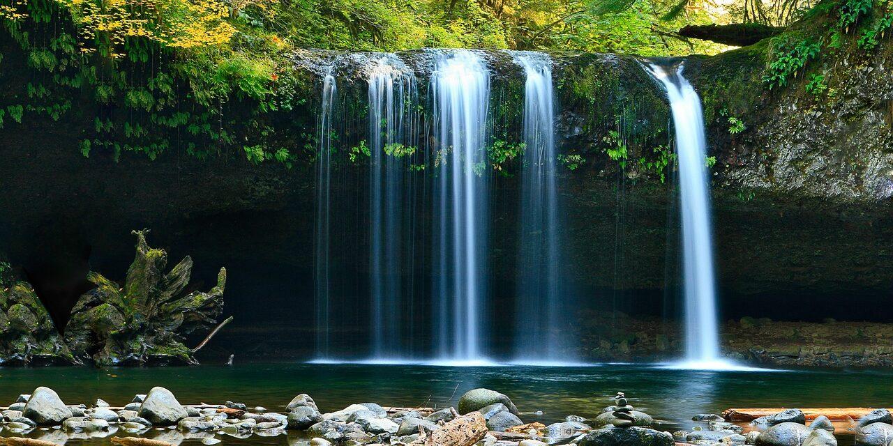Biodiversity Wallpapers - Top Free Biodiversity Backgrounds ...
