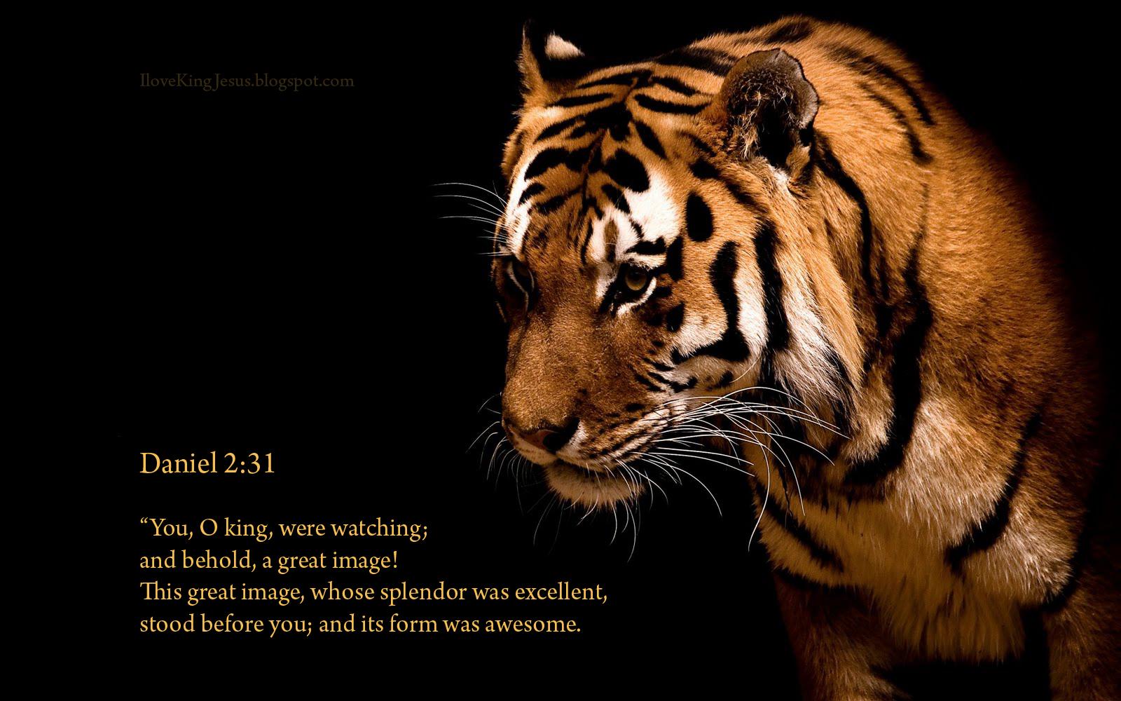 4K Bible Verse Wallpapers - Top Free 4K Bible Verse Backgrounds ...