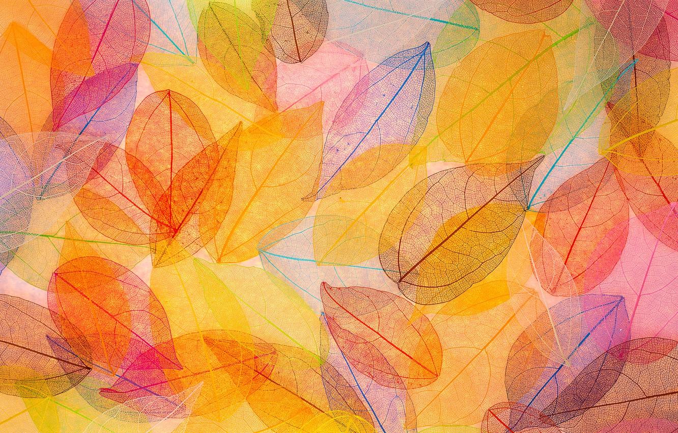 Abstract Autumn Desktop Wallpapers - Top Free Abstract Autumn Desktop ...