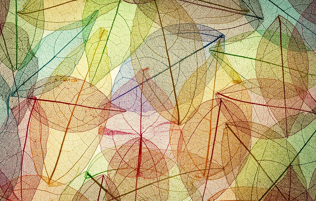 Abstract Autumn Desktop Wallpapers - Top Free Abstract Autumn Desktop ...