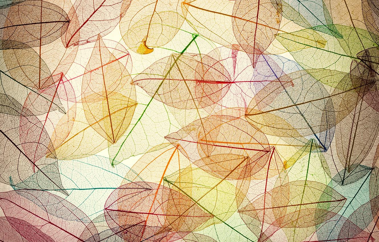 Abstract Autumn Desktop Wallpapers - Top Free Abstract Autumn Desktop ...