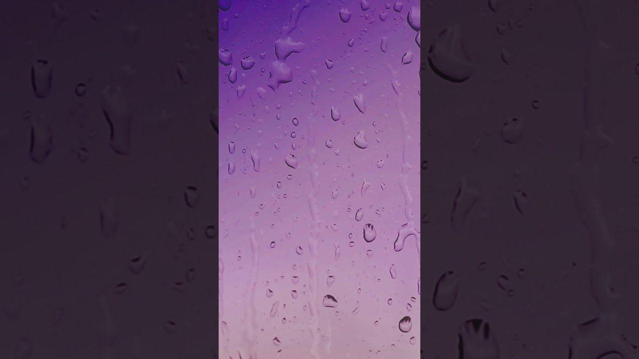 Purple Rain Wallpapers - Top Free Purple Rain Backgrounds - WallpaperAccess