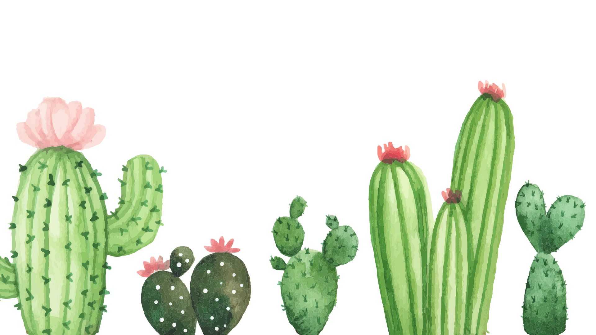 Cool Cactus Wallpapers - Top Free Cool Cactus Backgrounds - WallpaperAccess