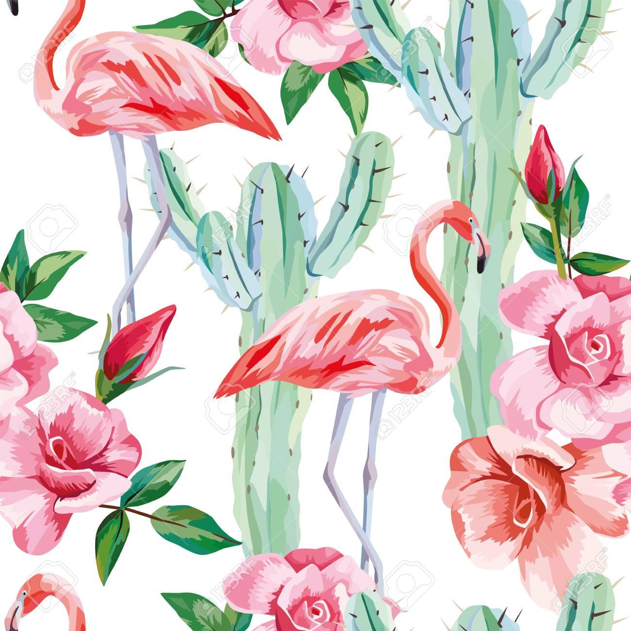 Cool Cactus Wallpapers - Top Free Cool Cactus Backgrounds - WallpaperAccess