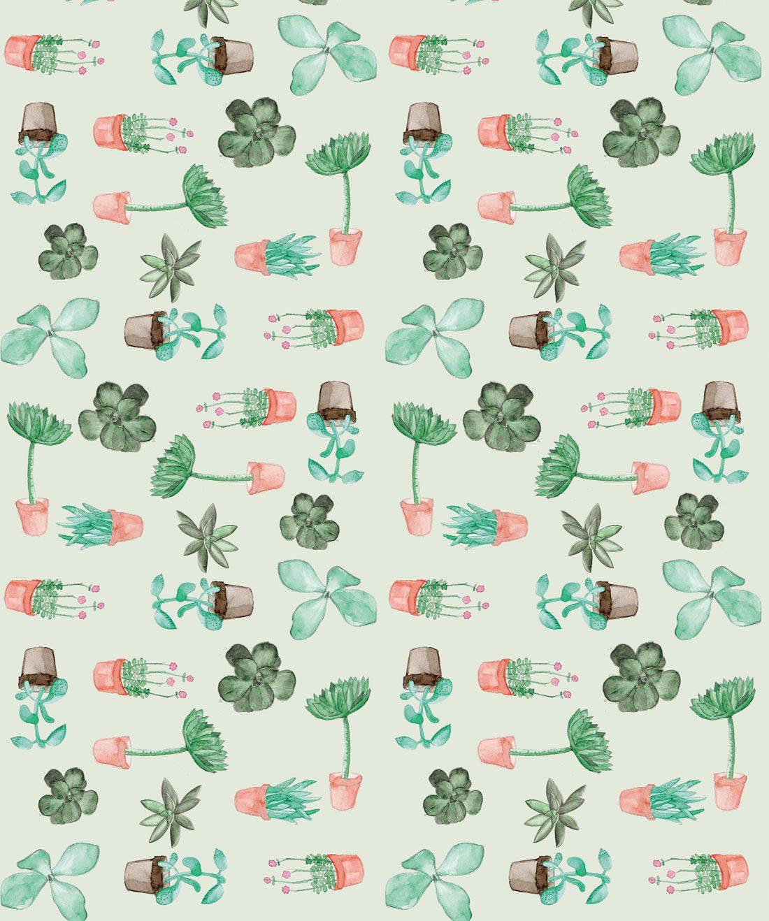 Cool Cactus Wallpapers - Top Free Cool Cactus Backgrounds - WallpaperAccess