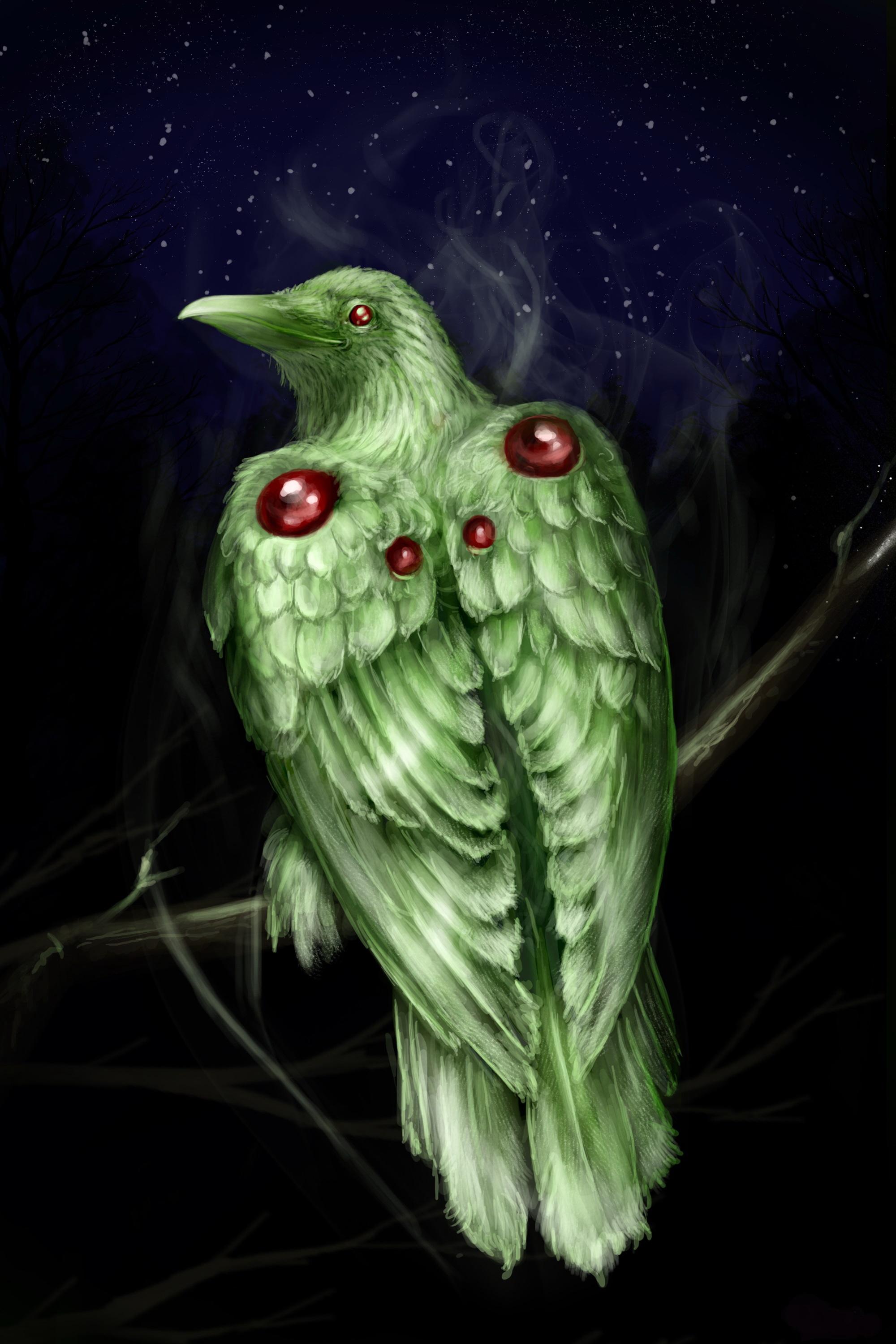 Magical Bird Wallpapers - Top Free Magical Bird Backgrounds ...