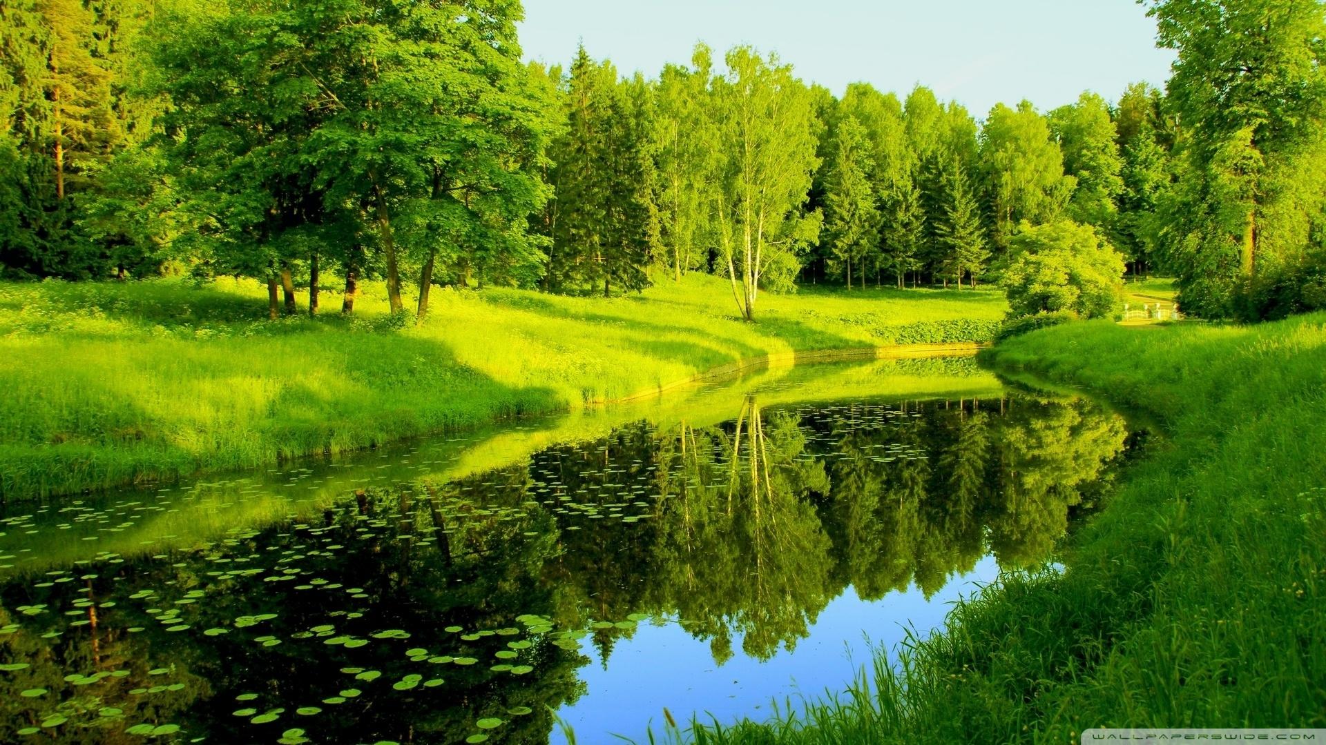 Green Place Wallpapers - Top Free Green Place Backgrounds - WallpaperAccess