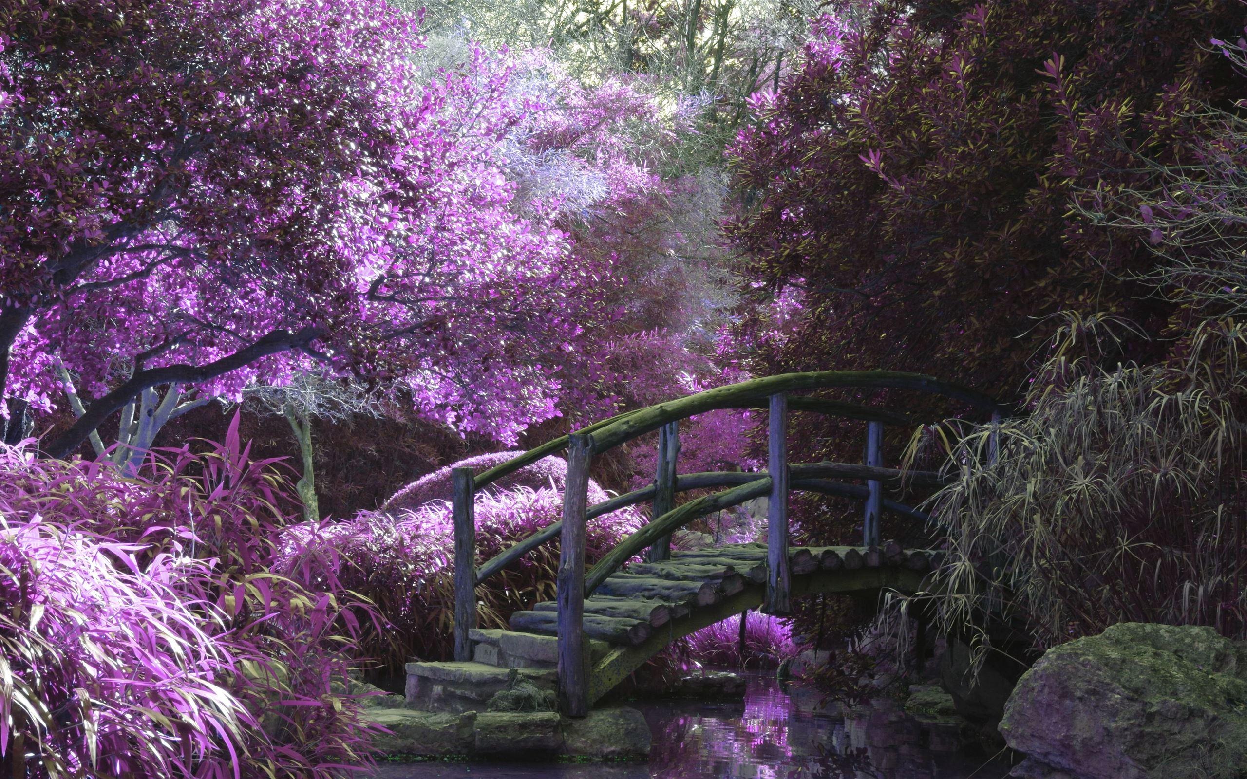 Magical Spring Wallpapers - Top Free Magical Spring Backgrounds ...