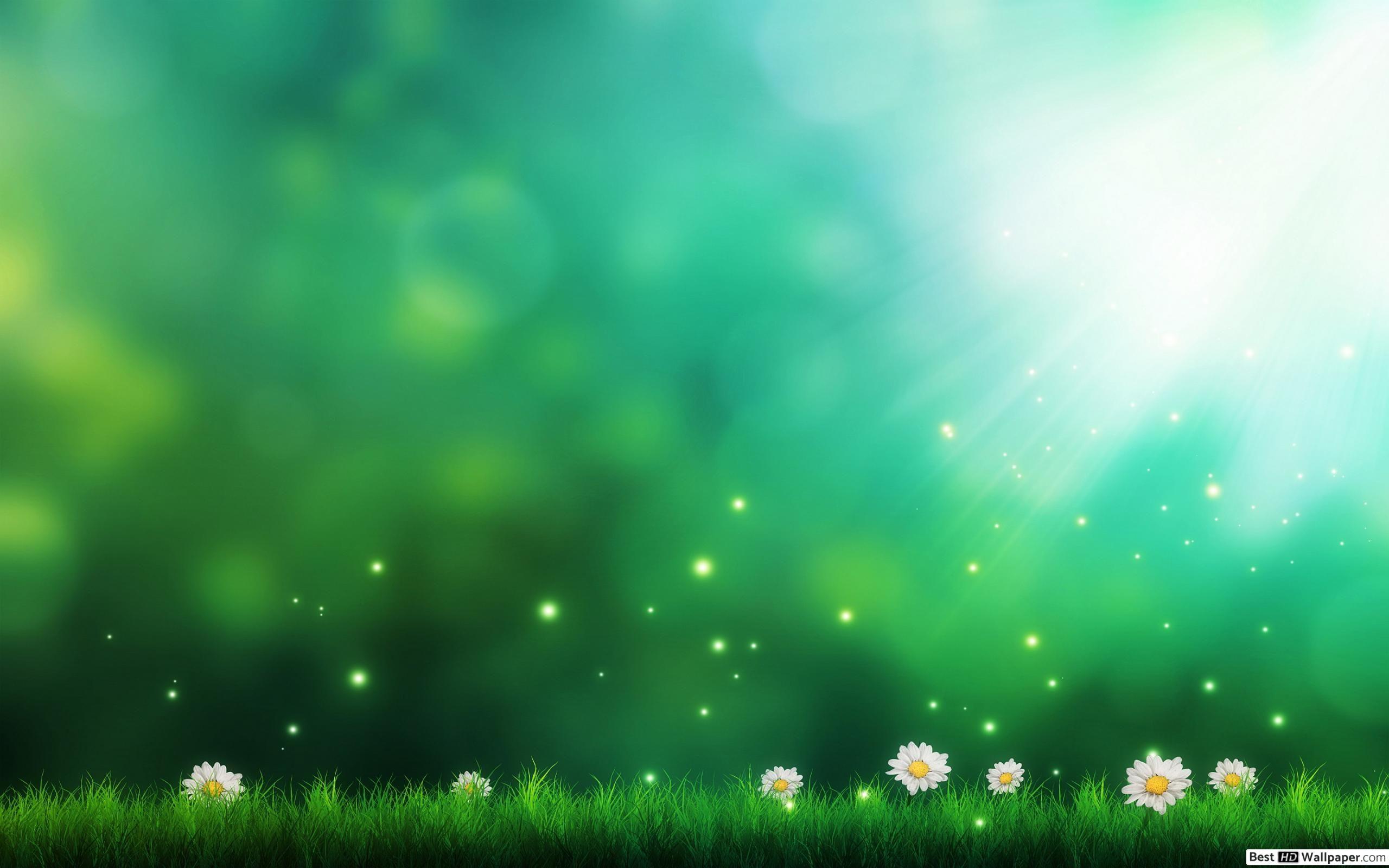 Magical Spring Wallpapers - Top Free Magical Spring Backgrounds ...