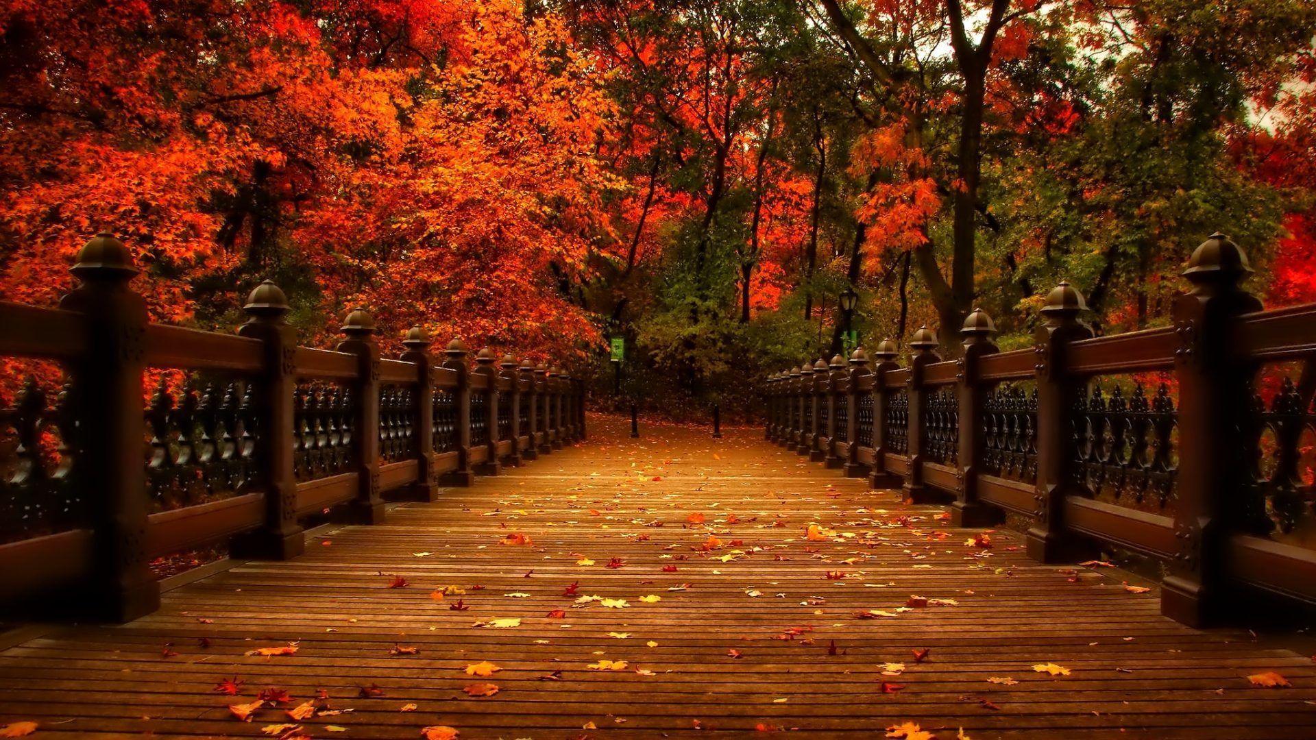 November Scenery Wallpapers - Top Free November Scenery Backgrounds ...