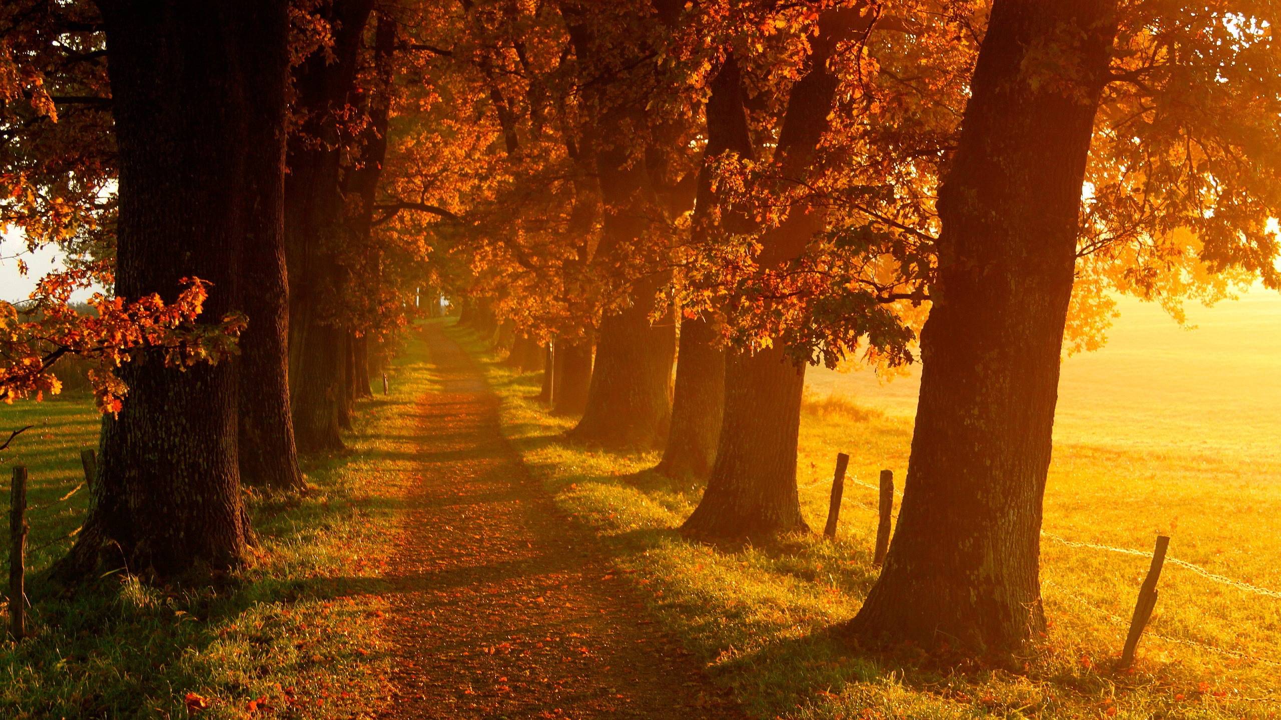 November Scenery Wallpapers - Top Free November Scenery Backgrounds ...