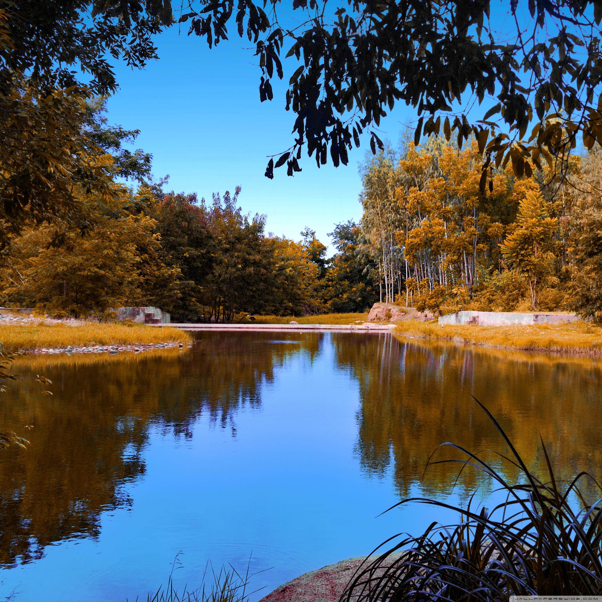 November Scenery Wallpapers - Top Free November Scenery Backgrounds ...