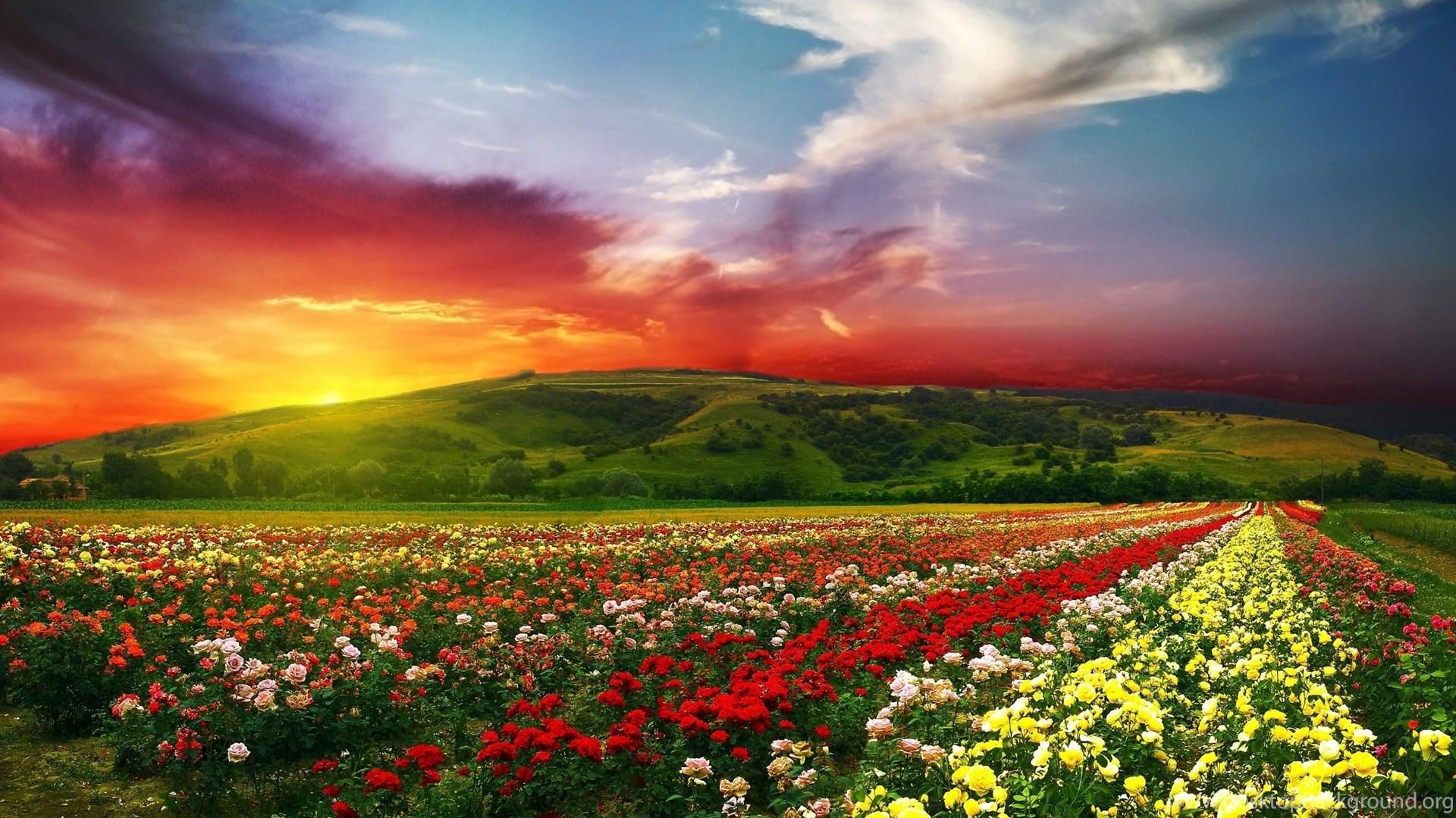 November Scenery Wallpapers - Top Free November Scenery Backgrounds ...