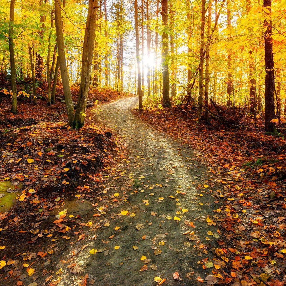 November Scenery Wallpapers - Top Free November Scenery Backgrounds ...