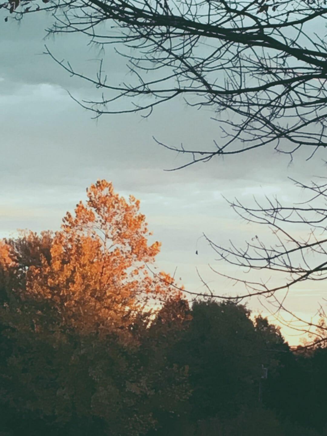 November Scenery Wallpapers - Top Free November Scenery Backgrounds ...