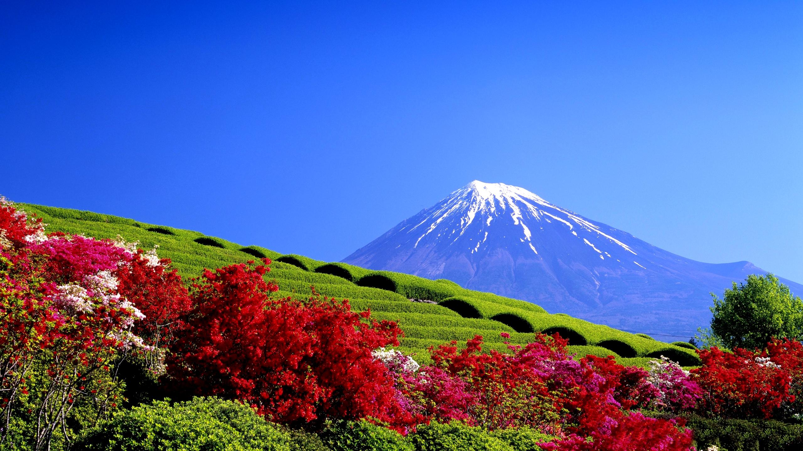 Sunny Mountain Wallpapers - Top Free Sunny Mountain Backgrounds ...
