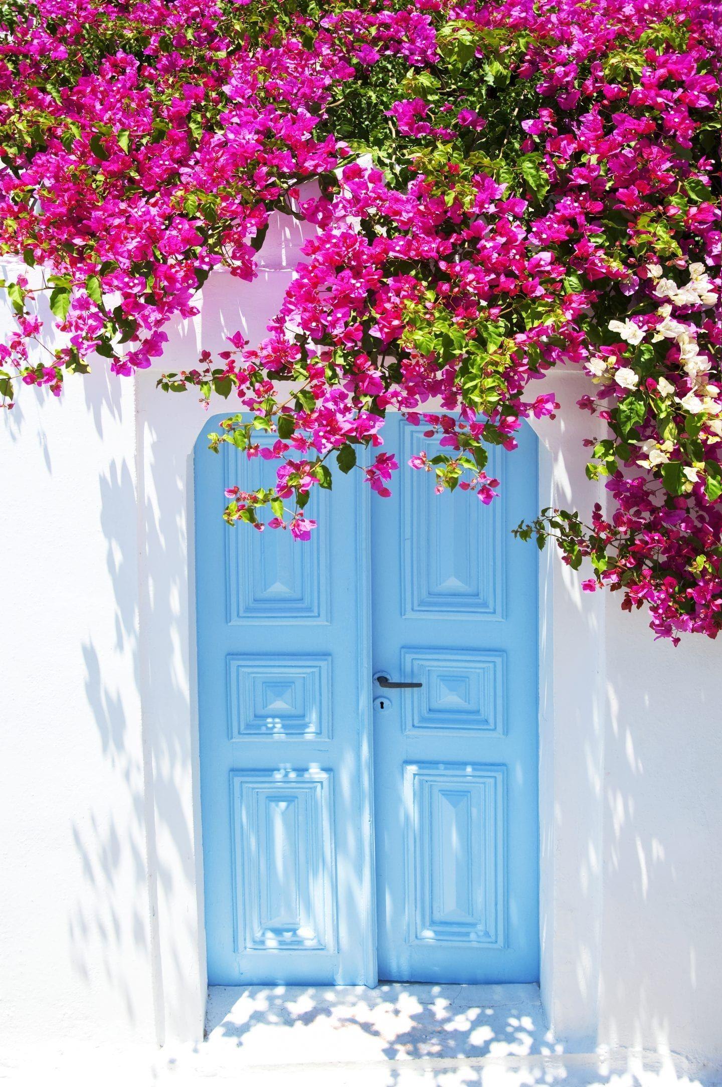 Beautiful Door Wallpapers - Top Free Beautiful Door Backgrounds ...