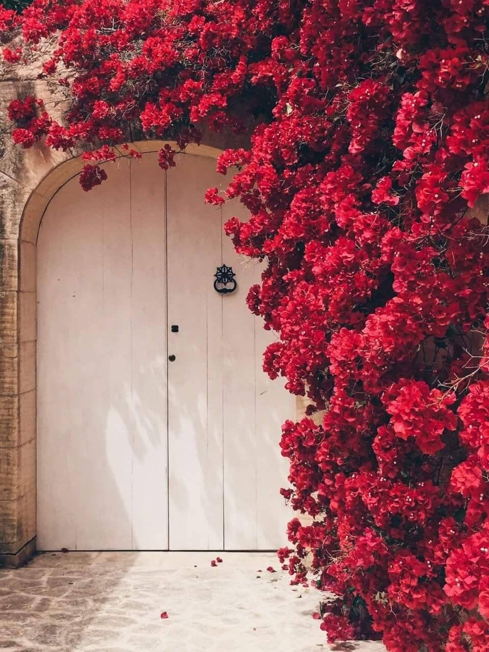 Beautiful Door Wallpapers - Top Free Beautiful Door Backgrounds ...