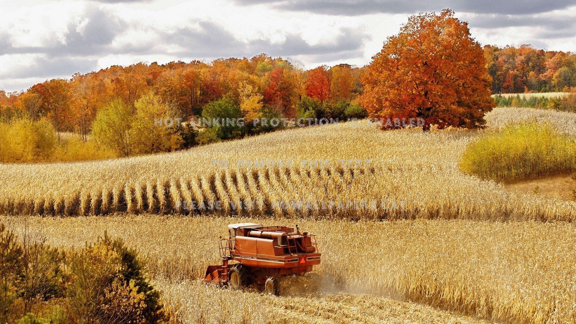 Combine Harvester Wallpapers - Top Free Combine Harvester Backgrounds ...
