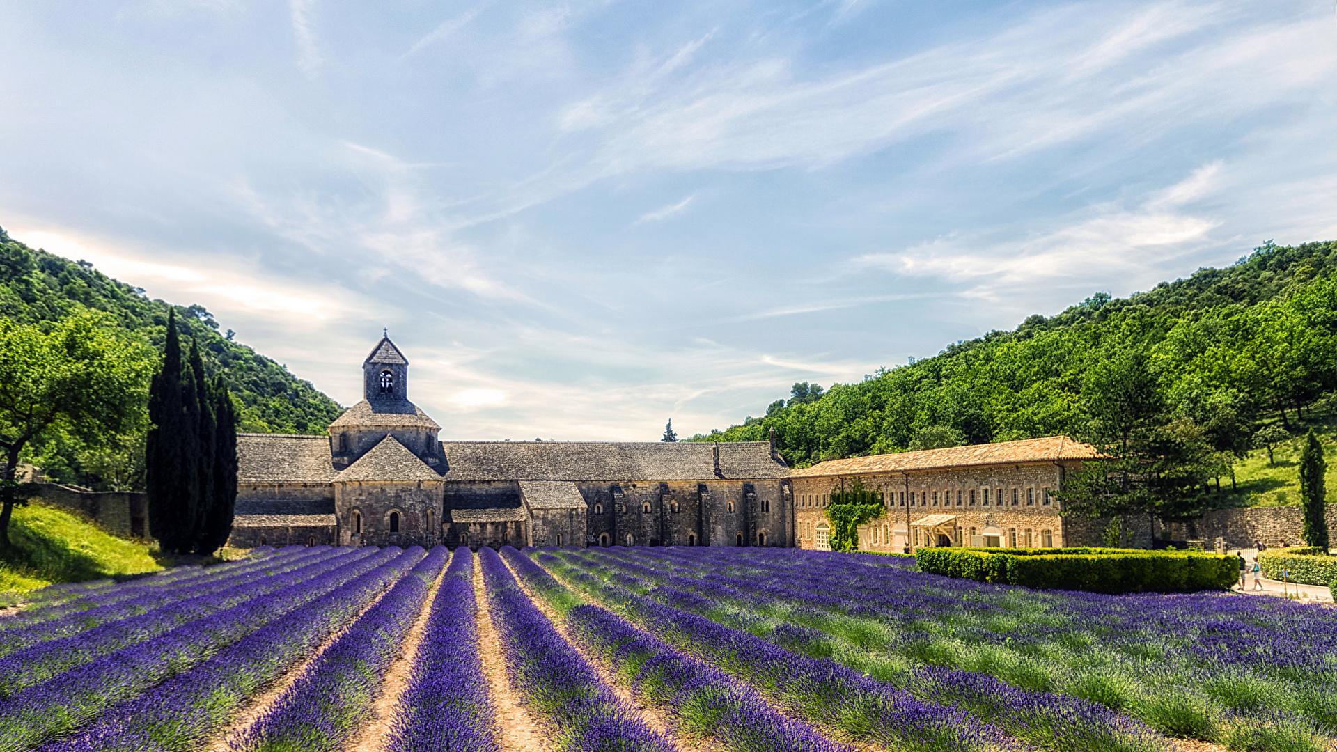 Lavender France Wallpapers - Top Free Lavender France Backgrounds ...