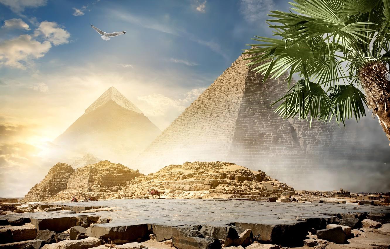 Egypt Cartoon Wallpapers - Top Free Egypt Cartoon Backgrounds ...
