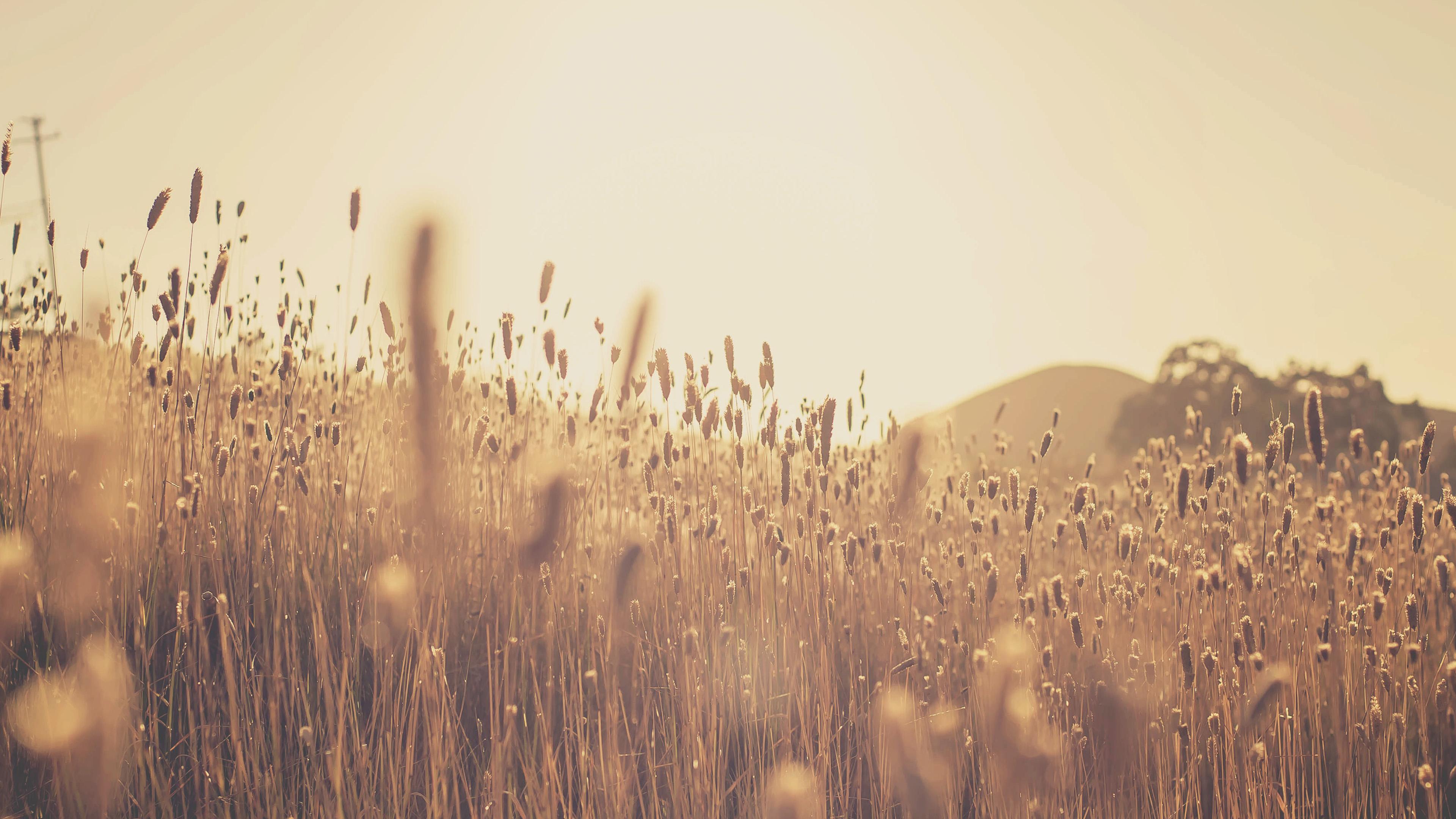 Nature Bokeh Wallpapers - Top Free Nature Bokeh Backgrounds ...