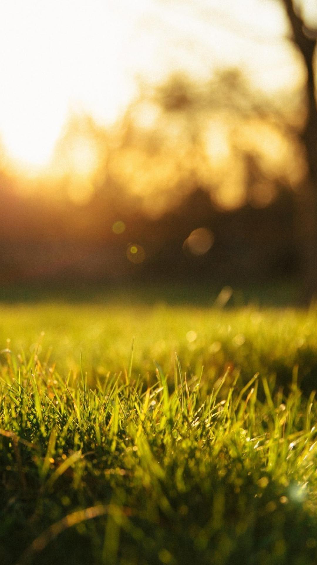 Nature Bokeh Wallpapers - Top Free Nature Bokeh Backgrounds ...