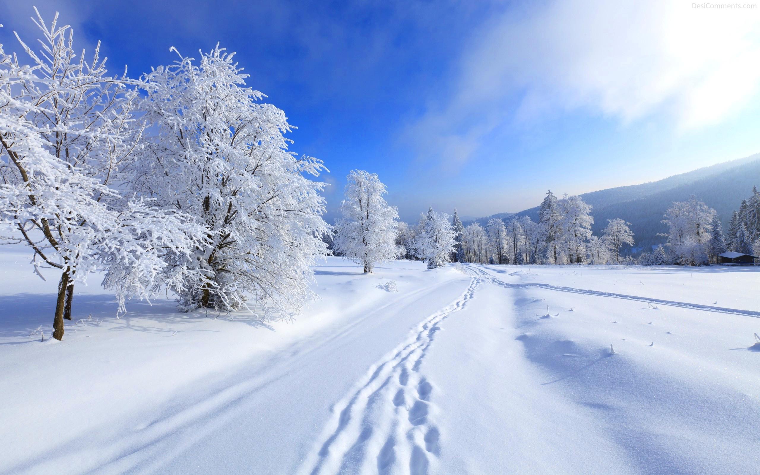Amazing Winter Wallpapers - Top Free Amazing Winter Backgrounds ...