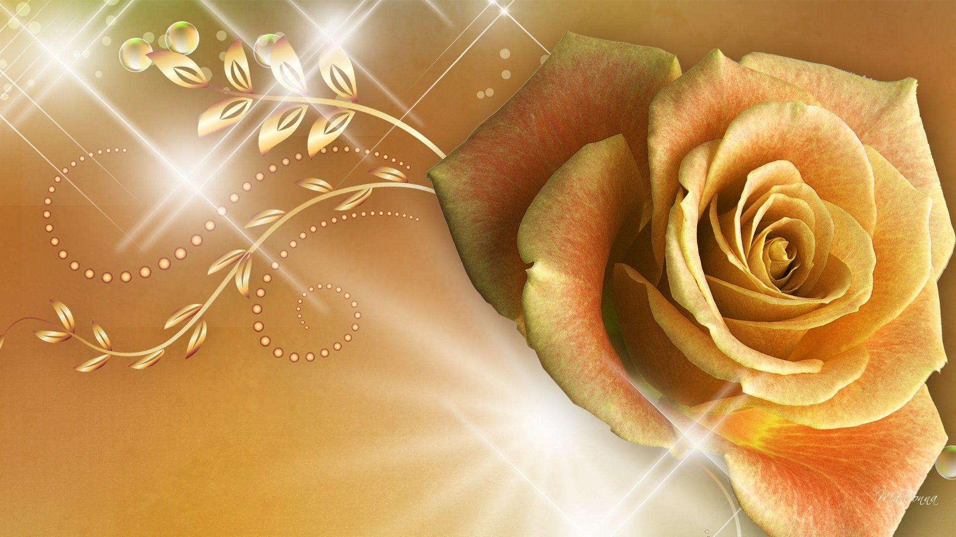 Glow Rose Wallpapers - Top Free Glow Rose Backgrounds - WallpaperAccess