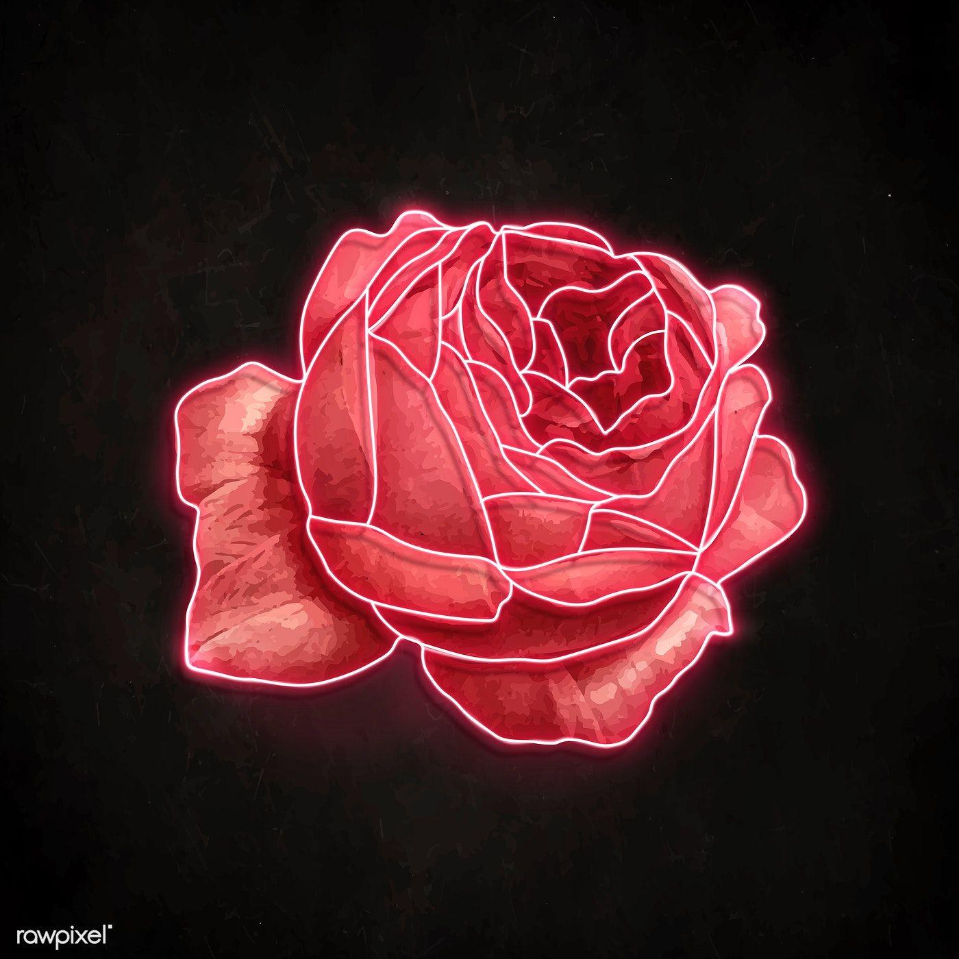 Glow Rose Wallpapers - Top Free Glow Rose Backgrounds - WallpaperAccess