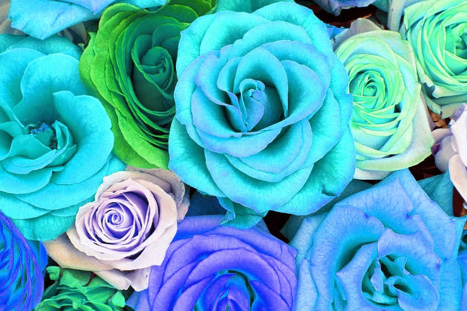 Glow Rose Wallpapers - Top Free Glow Rose Backgrounds - WallpaperAccess