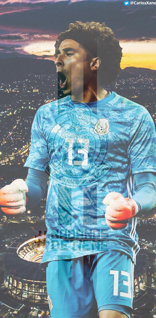 Ochoa Wallpapers - Top Free Ochoa Backgrounds - WallpaperAccess