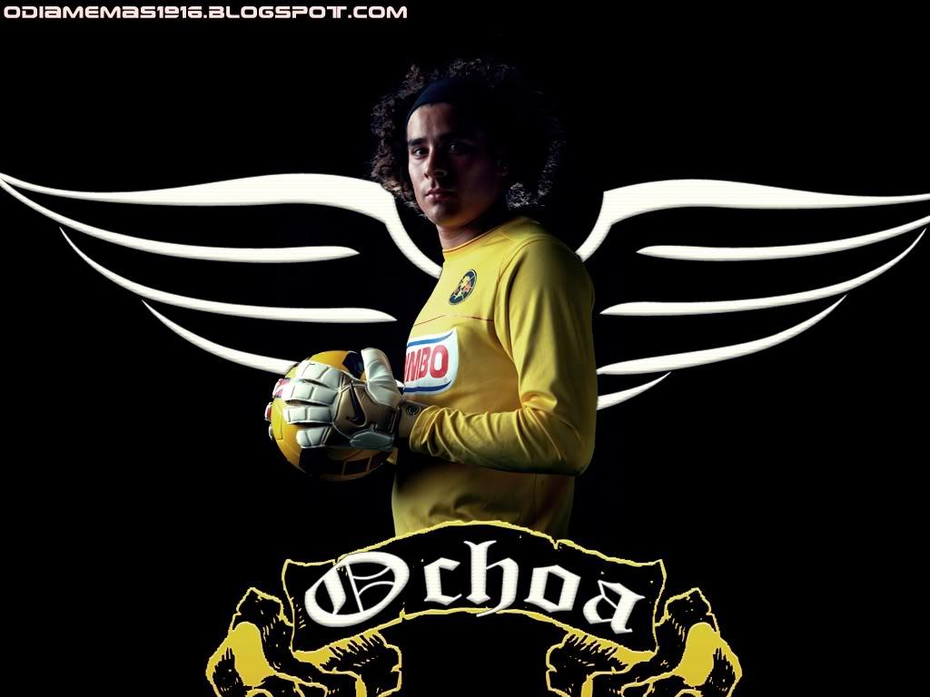 Ochoa Wallpapers - Top Free Ochoa Backgrounds - WallpaperAccess