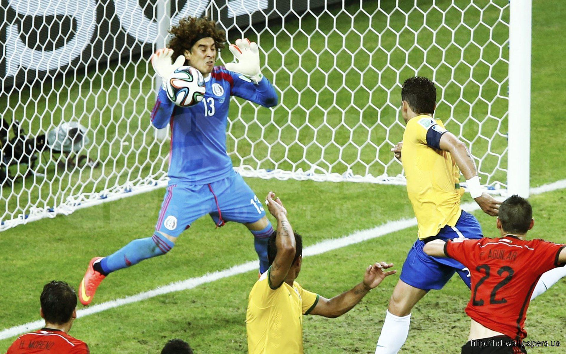 Ochoa Wallpapers - Top Free Ochoa Backgrounds - WallpaperAccess